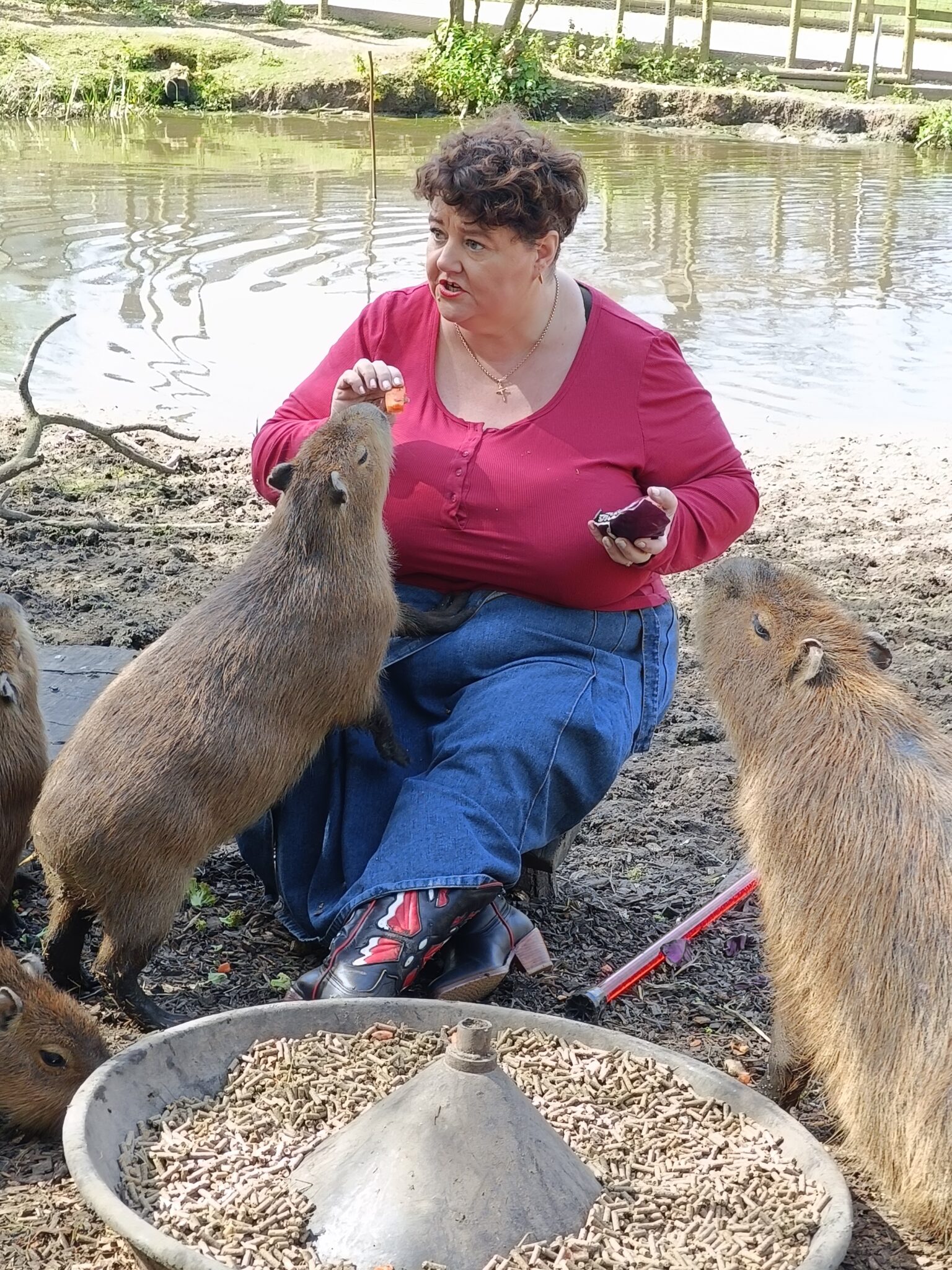 Capybara Heaven - Secret Plus Size Goddess