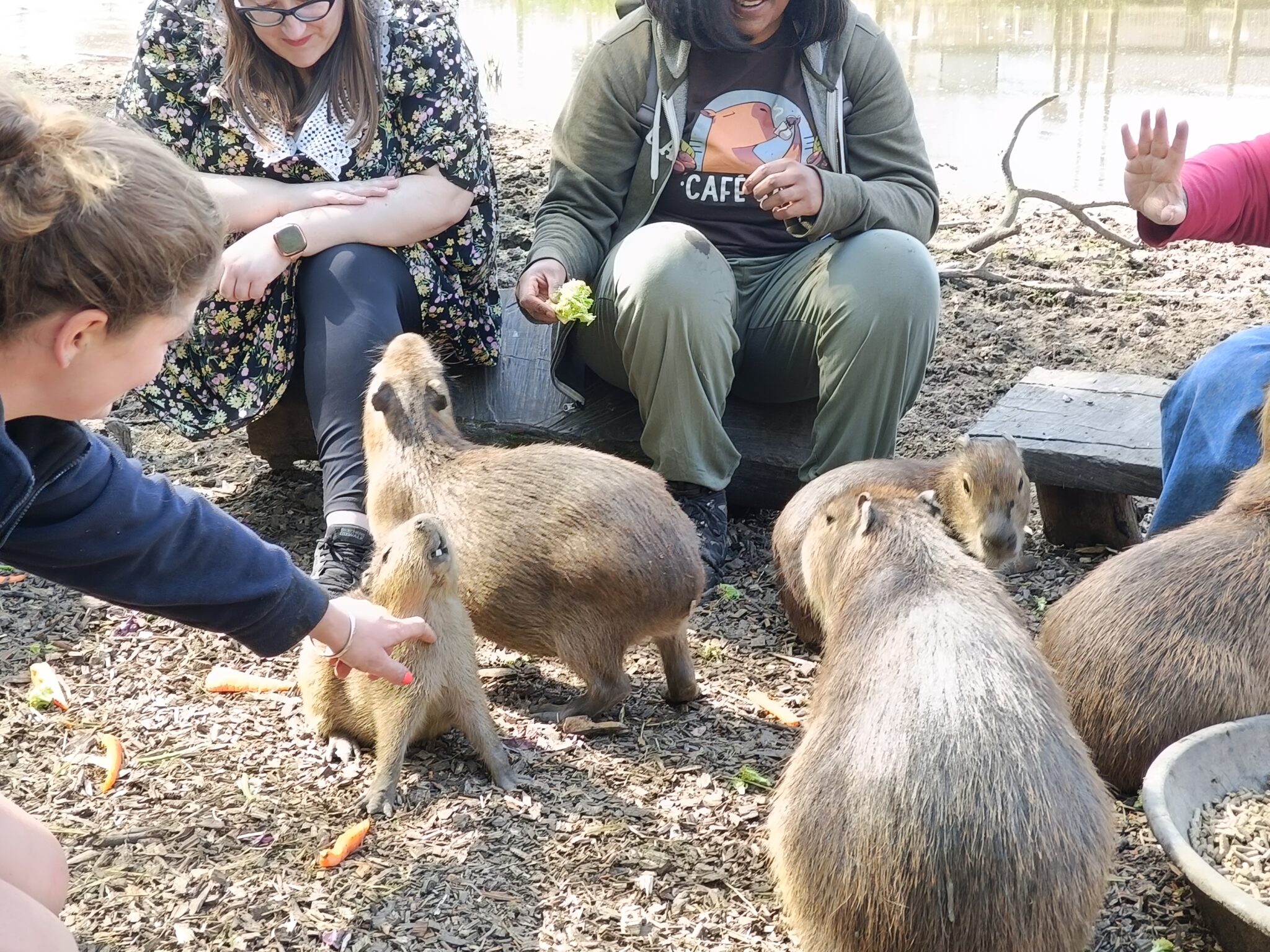 Capybara Heaven - Secret Plus Size Goddess